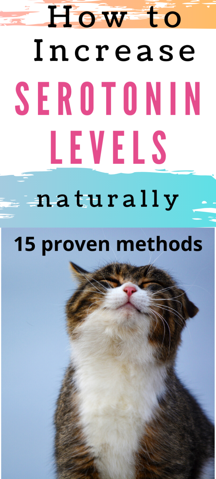 how-to-increase-serotonin-levels-naturally | Self-Discovery ...