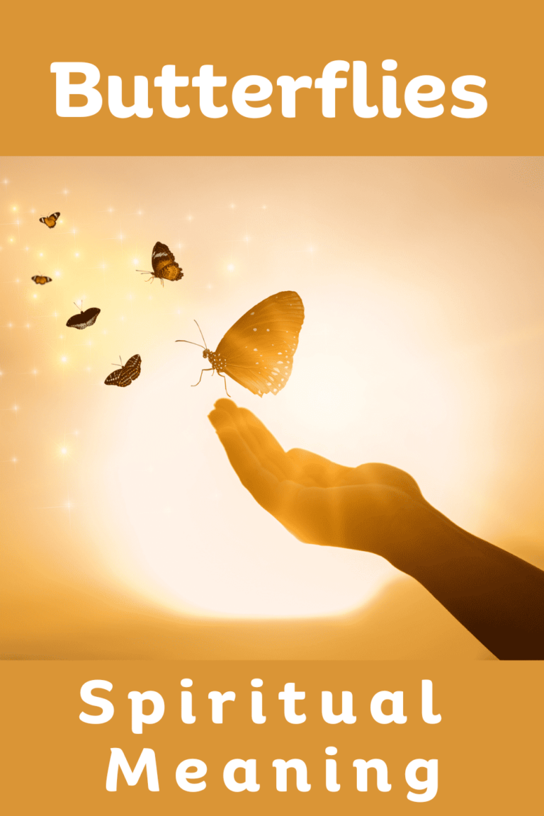 Yellow Butterfly [Spiritual Meaning & Symbolism Explained]
