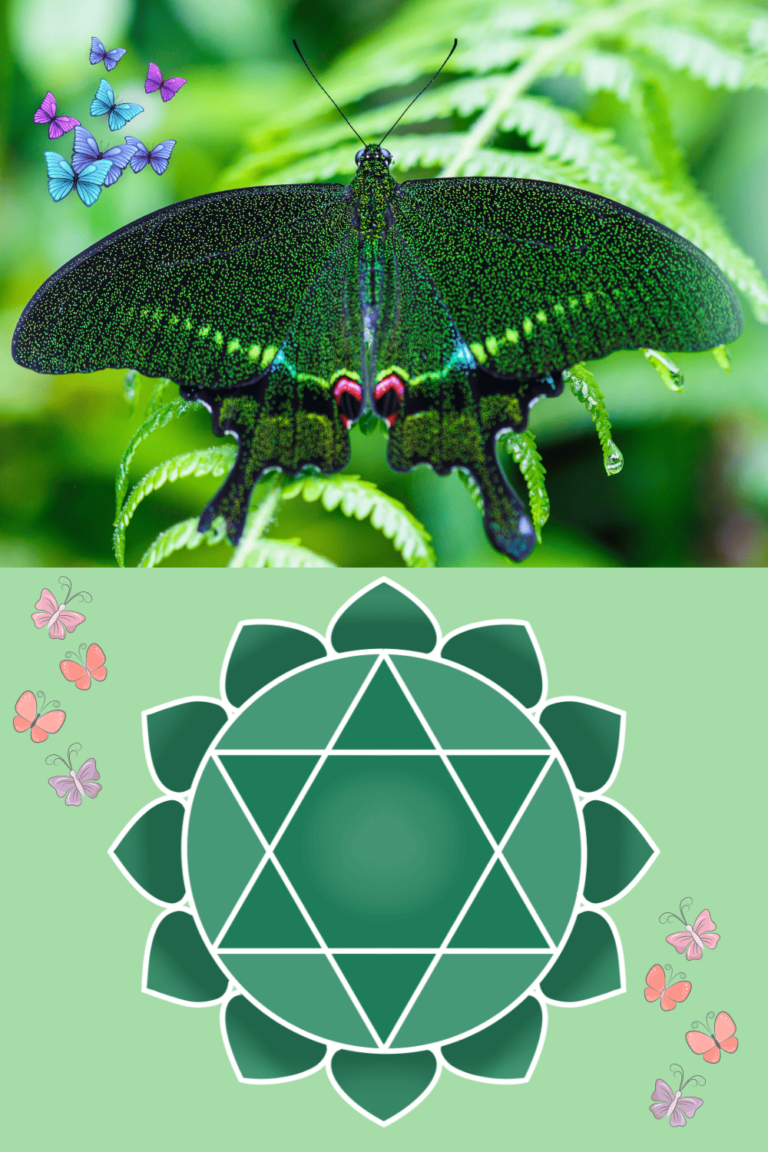 Green Butterfly [Spiritual Meaning & Symbolism]