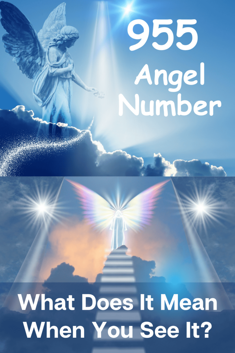 955 Angel Number [What Does It Mean When You See It?]